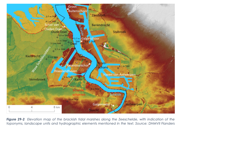 Brackish tidal marshes of the Scheldt | Geopark Schelde Delta
