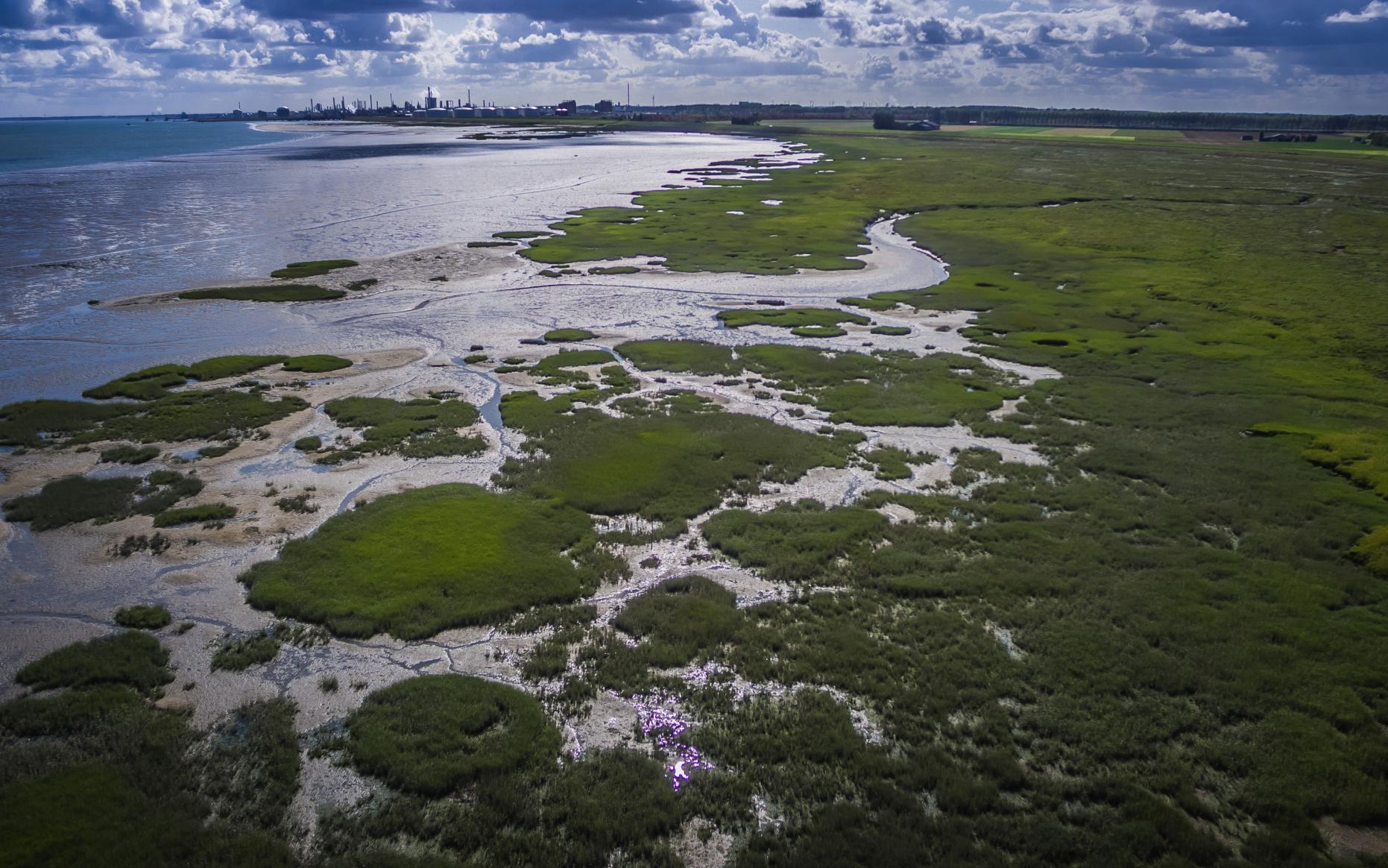 Western Scheldt | Geopark Schelde Delta